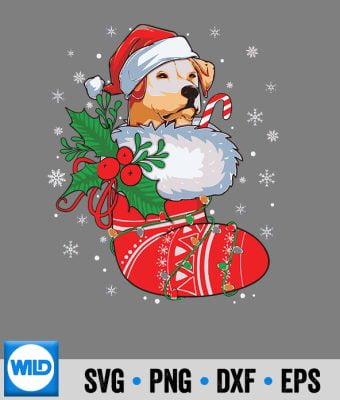 Christmas SVG, Santa Hat Golden Retriever Dog In Christmas Socks Xmas ...