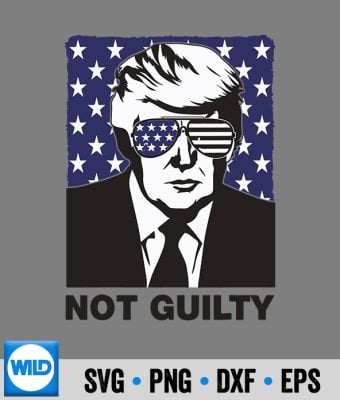 Not Guilty Trump SVG, Not Guilty Trump Indicted Sarcastic Indictment ...