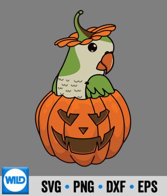 Pumpkin Parrot SVG, Halloween Pumpkin Parrot I Green Monk Parakeet ...