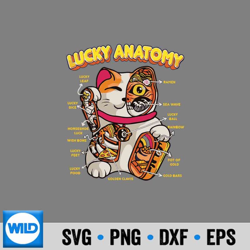 Lucky SVG, Lucky Anatomy Maneki Neko Lucky Cat Anatomy Kitty Cat SVG ...