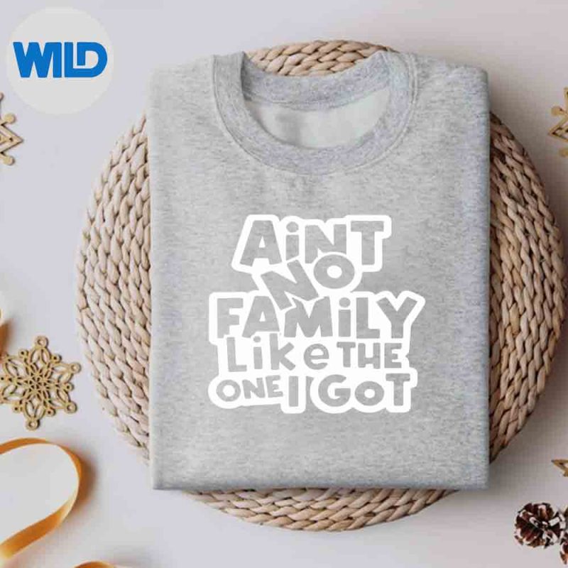 Aint No Family Like The One I Got Family Reunion SVG Cut File - WildSvg