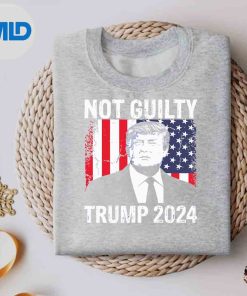 Trump Not Guilty 2024 SVG, Trump Not Guilty 2024 Free Trump SVG - WildSvg